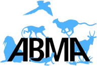 San Diego Dog Boutique | Grooming & Training | Bella Woof